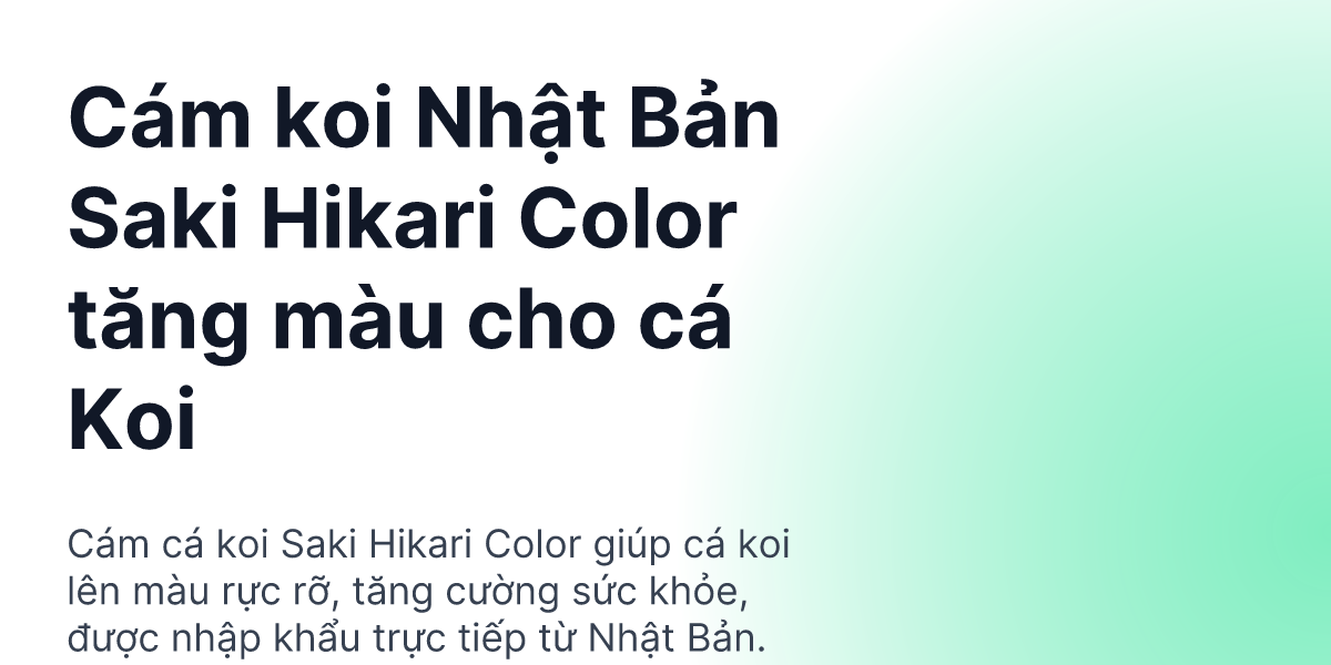 Cám koi Nhật Bản Saki Hikari Color tăng màu cho cá Koi - Tancho Koi Farm
